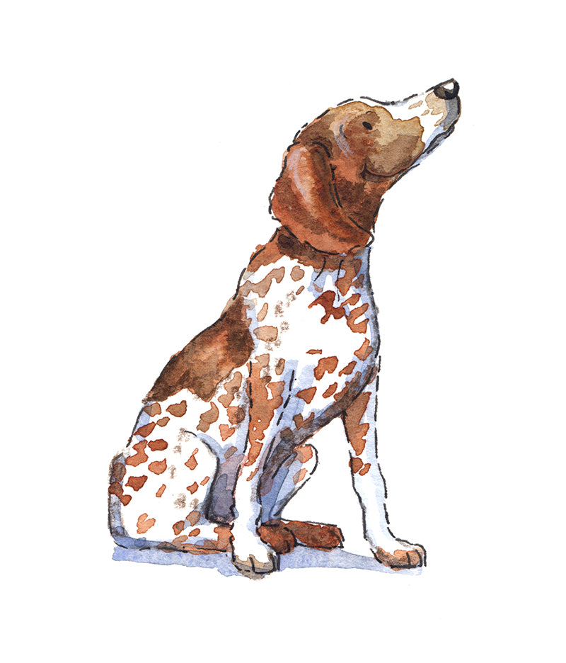 German Pointer Gifts – Villager Jim's Shop