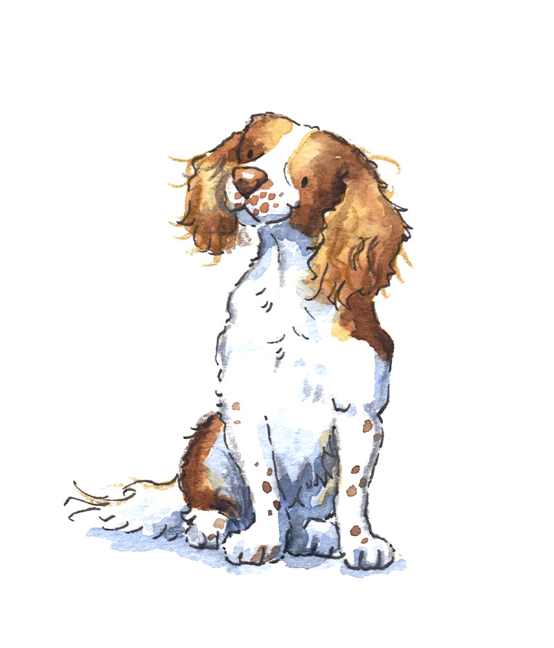 Springer Spaniel Gifts – Villager Jim's Shop