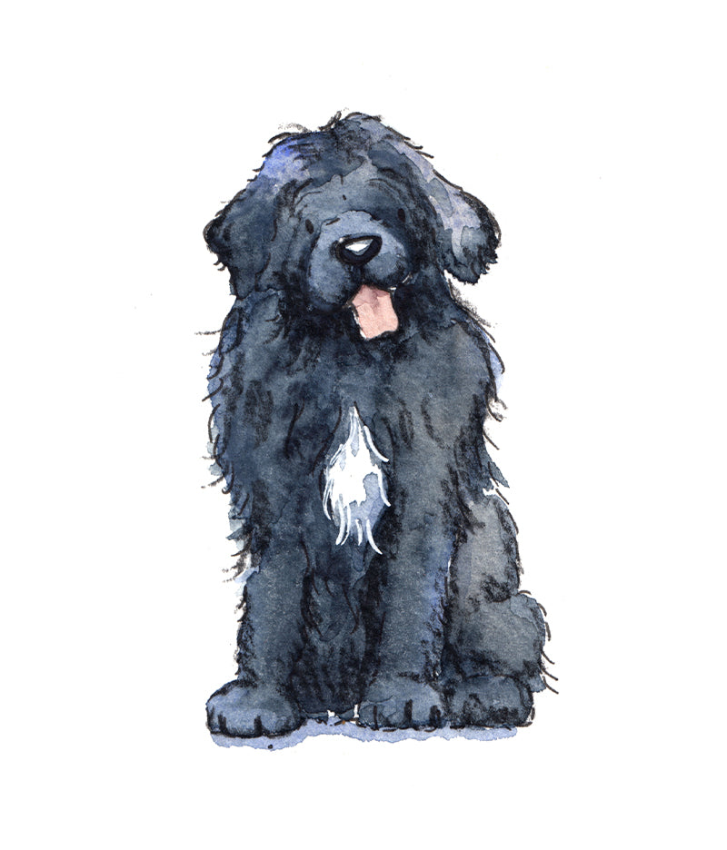 Newfoundland Gifts – Villager Jim's Shop