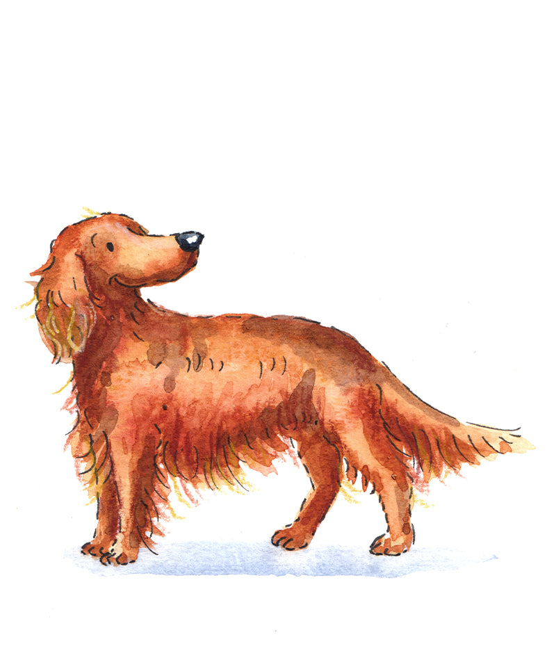Red Setter Gifts – Villager Jim's Shop