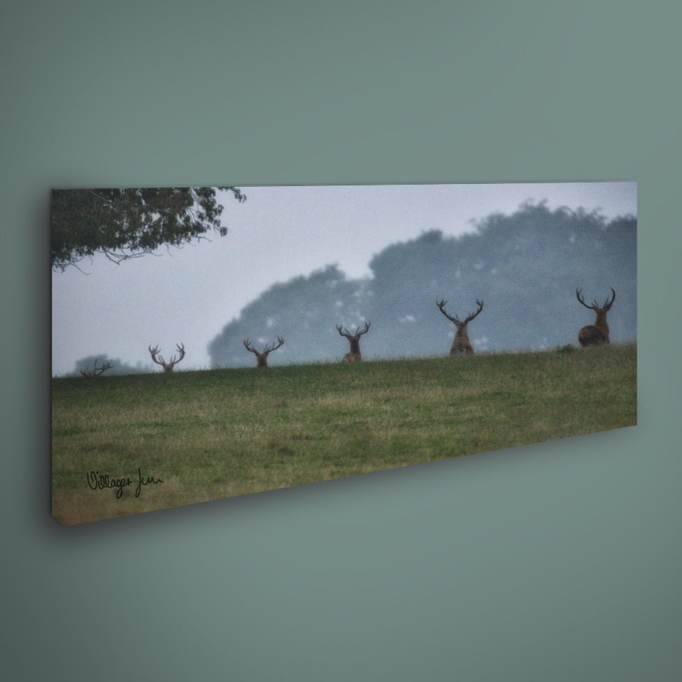 PANORAMIC - COLOUR ASCENT OF STAG - 1.2m x 50cm – Villager Jim's Shop