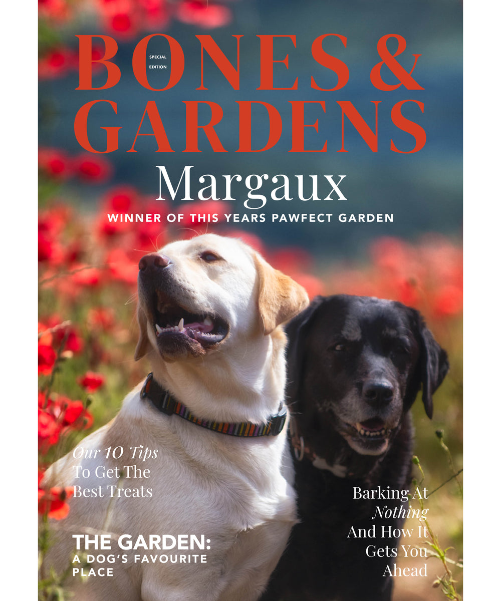 Bones & Garden Pet Magazine Cover – Villager Jim's Shop