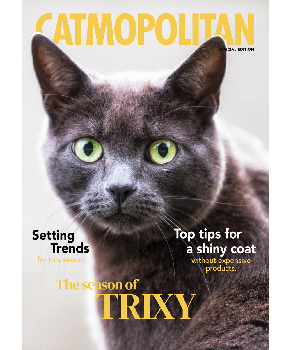 Catmopolitan Pet Magazine Cover – Villager Jim's Shop