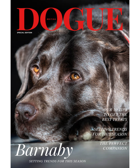 Dogue Pet Magazine Cover – Villager Jim's Shop