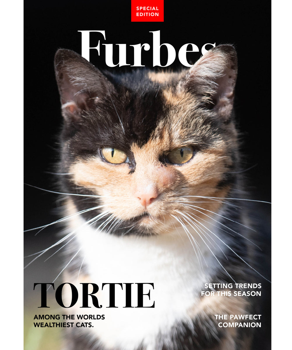 Furbes (Cat) Pet Magazine Cover – Villager Jim's Shop