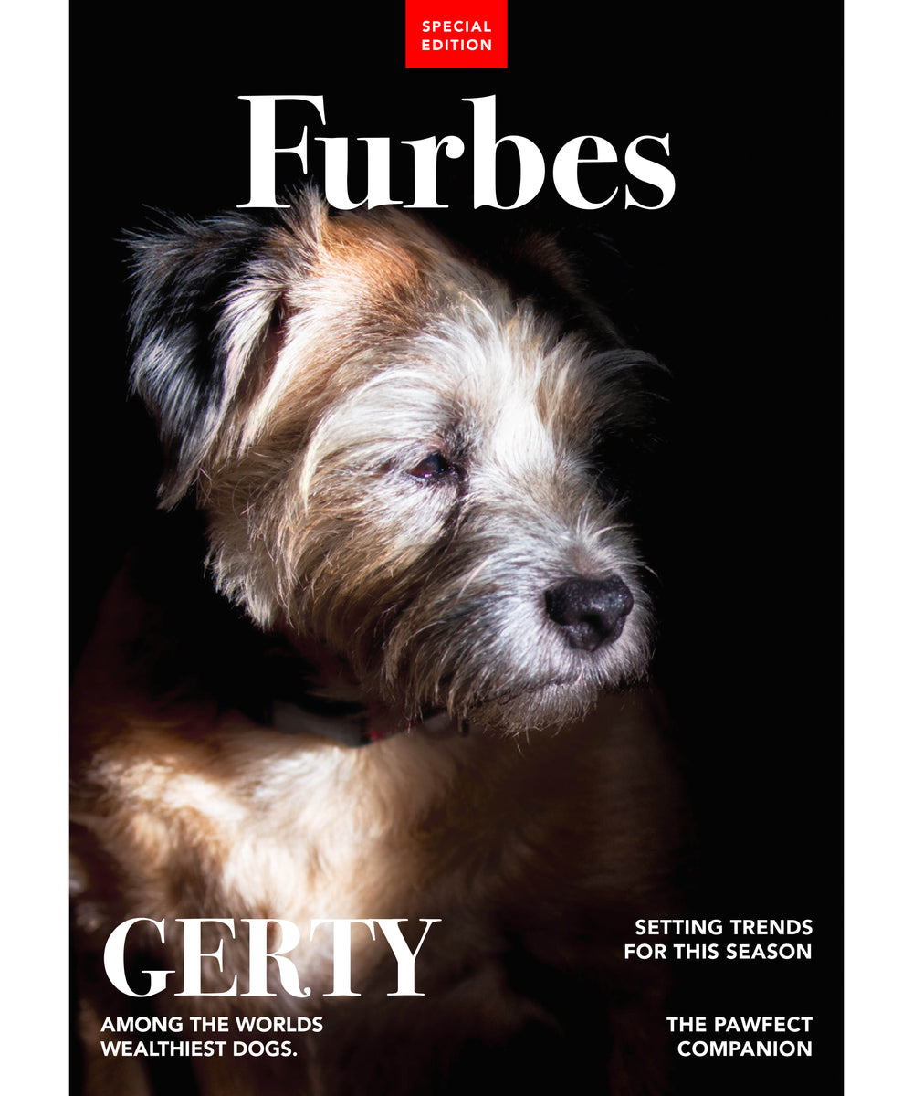 Furbes (Dog) Pet Magazine Cover – Villager Jim's Shop