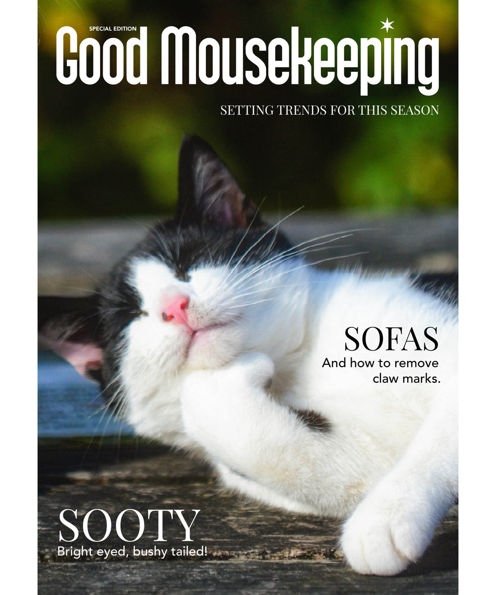 Good Mousekeeping Pet Magazine Cover – Villager Jim's Shop