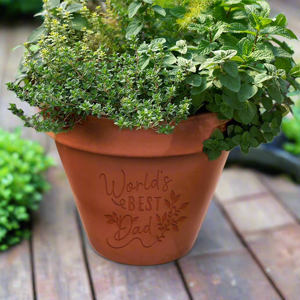 World's Best Dad Plant Pot – Villager Jim's Shop