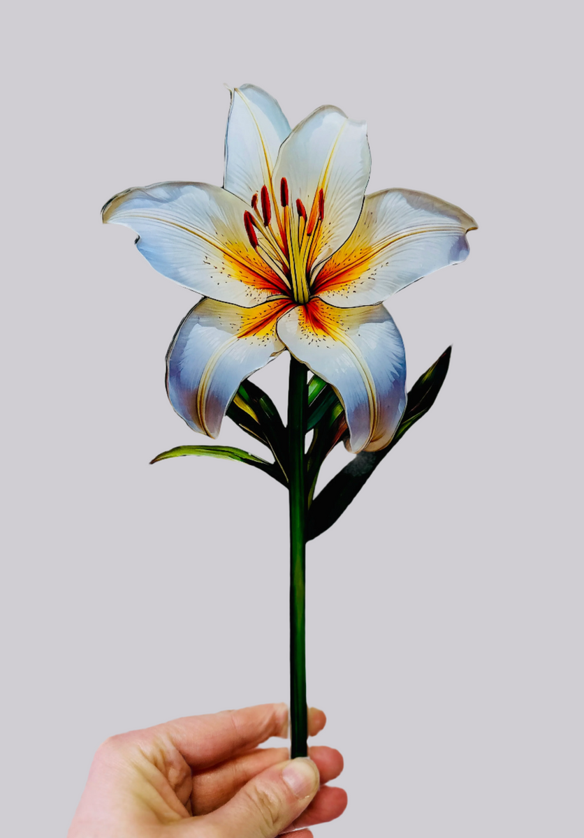 Everlasting Lily – Villager Jim's Shop