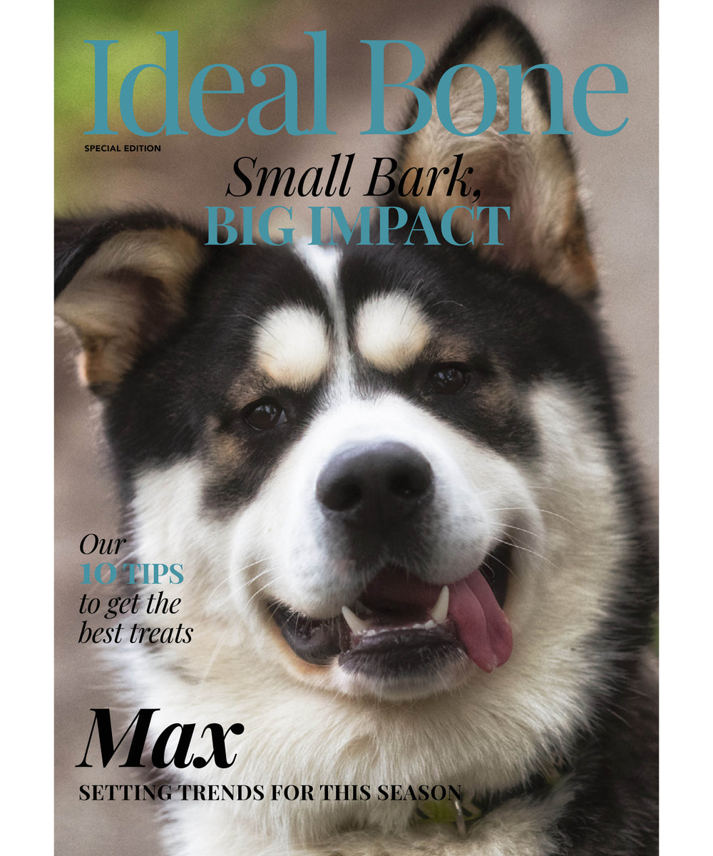 Ideal Bone Pet Magazine Cover – Villager Jim's Shop