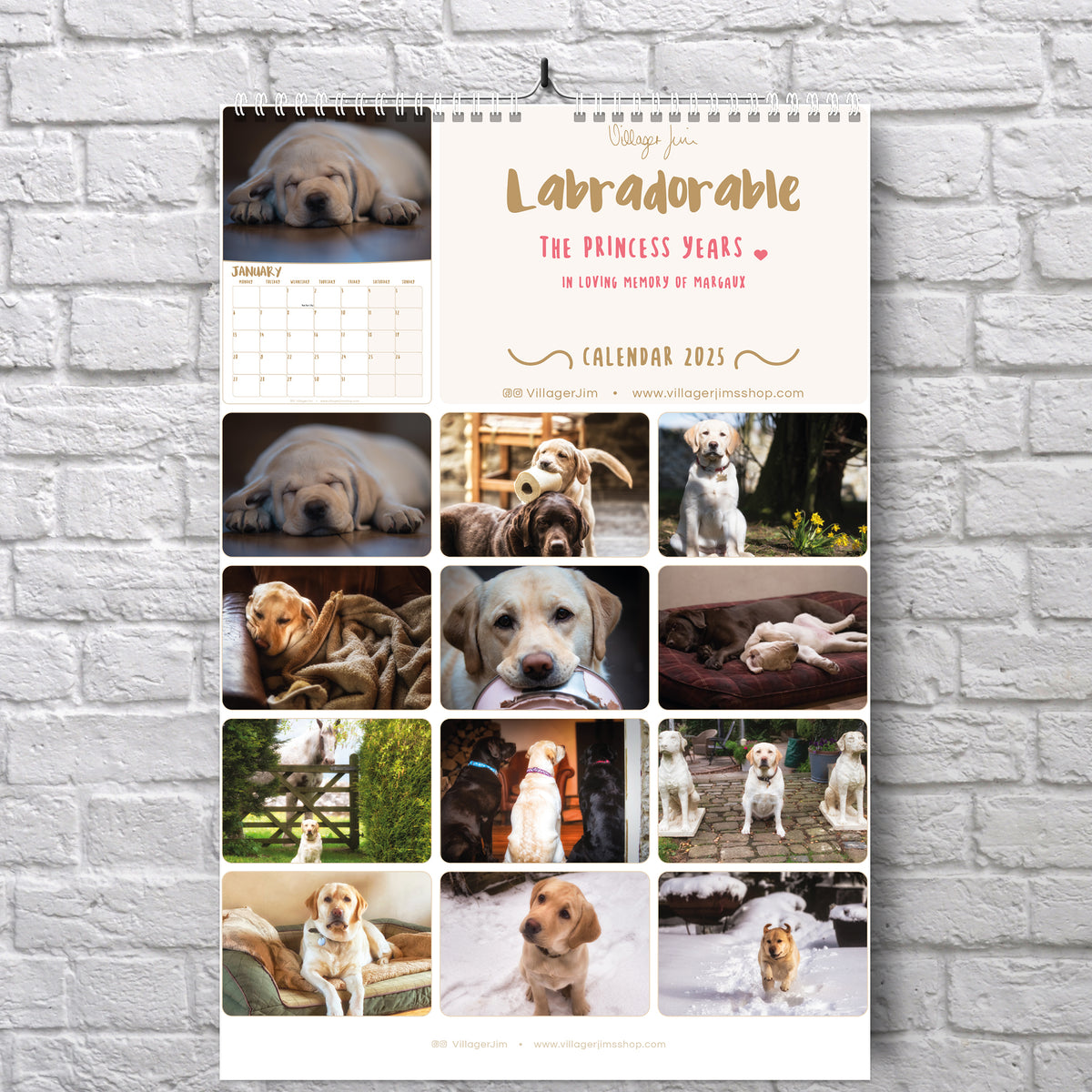 Villager Jim Labradorable 2025 Calendar – Villager Jim's Shop