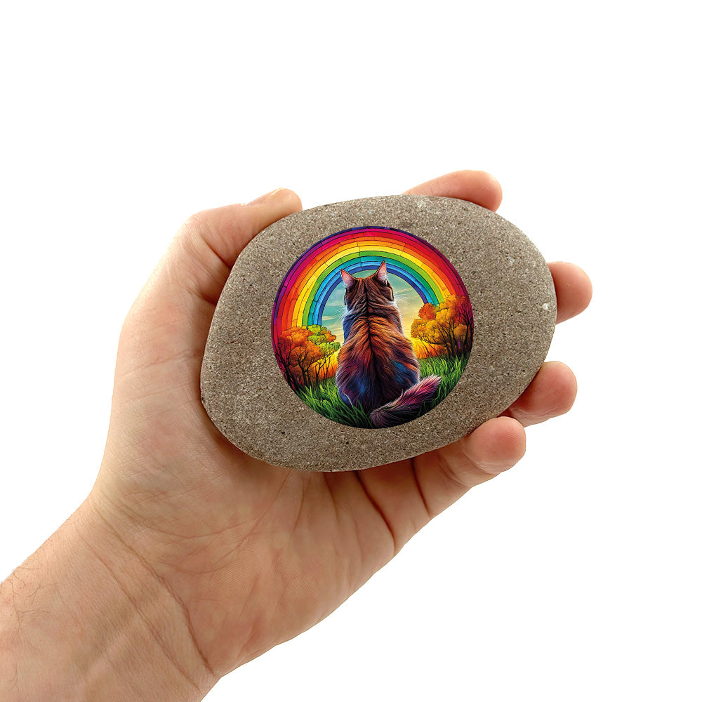 Rainbow Maine Coon Cat Pebble – Villager Jim's Shop