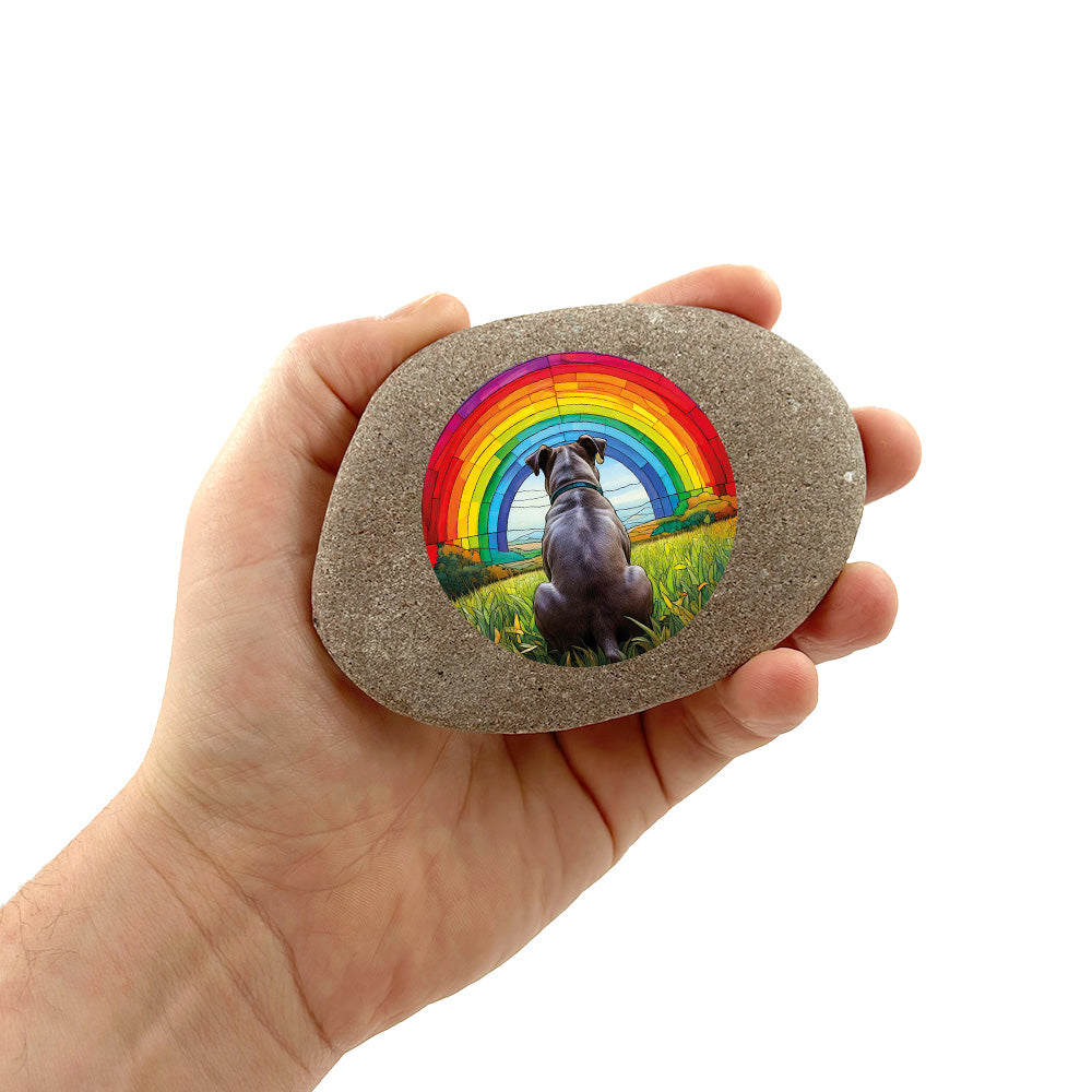 Rainbow Staffordshire Bull Terrier Grey Pebble – Villager Jim's Shop