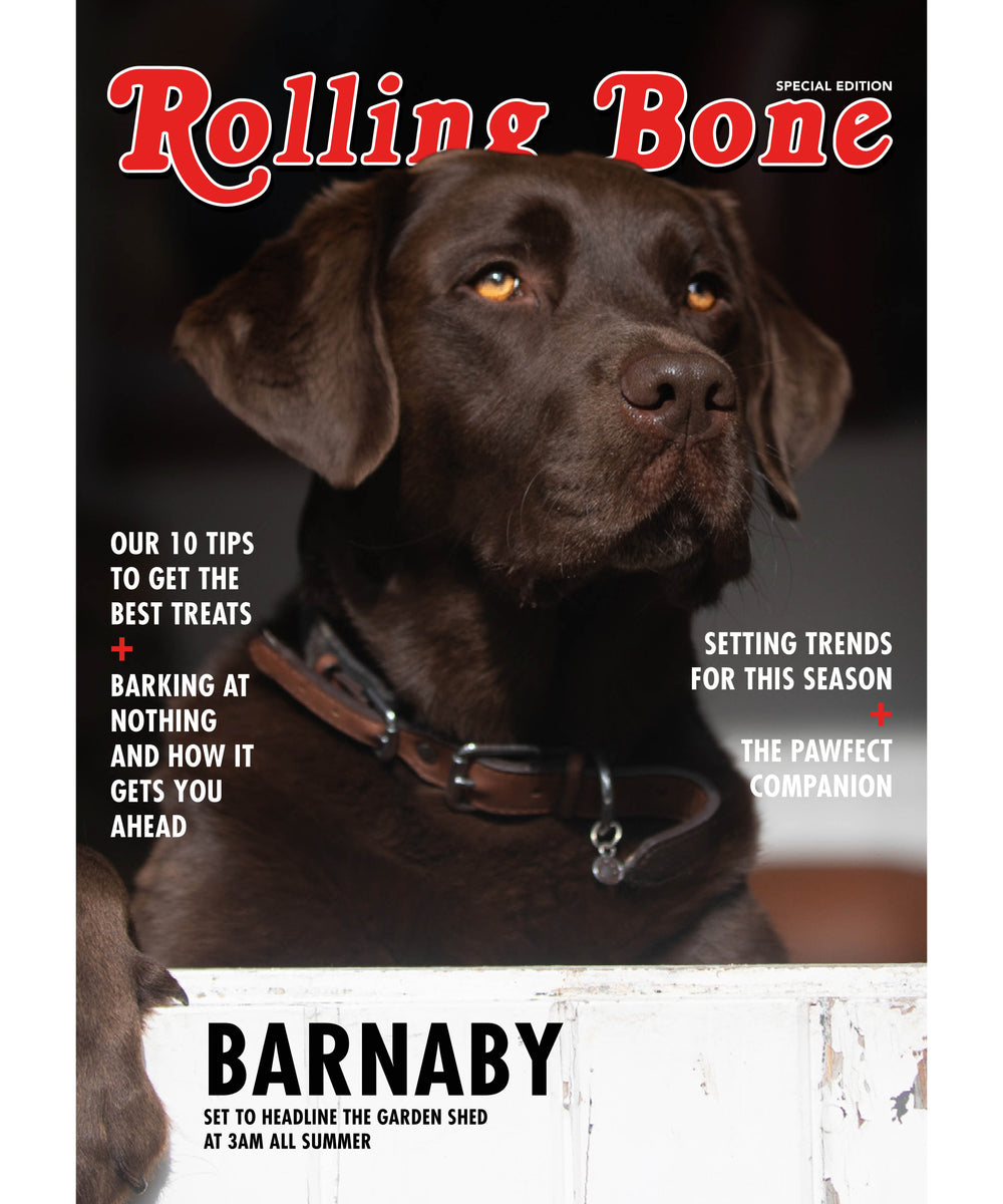 Rolling Bone Pet Magazine Cover – Villager Jim's Shop