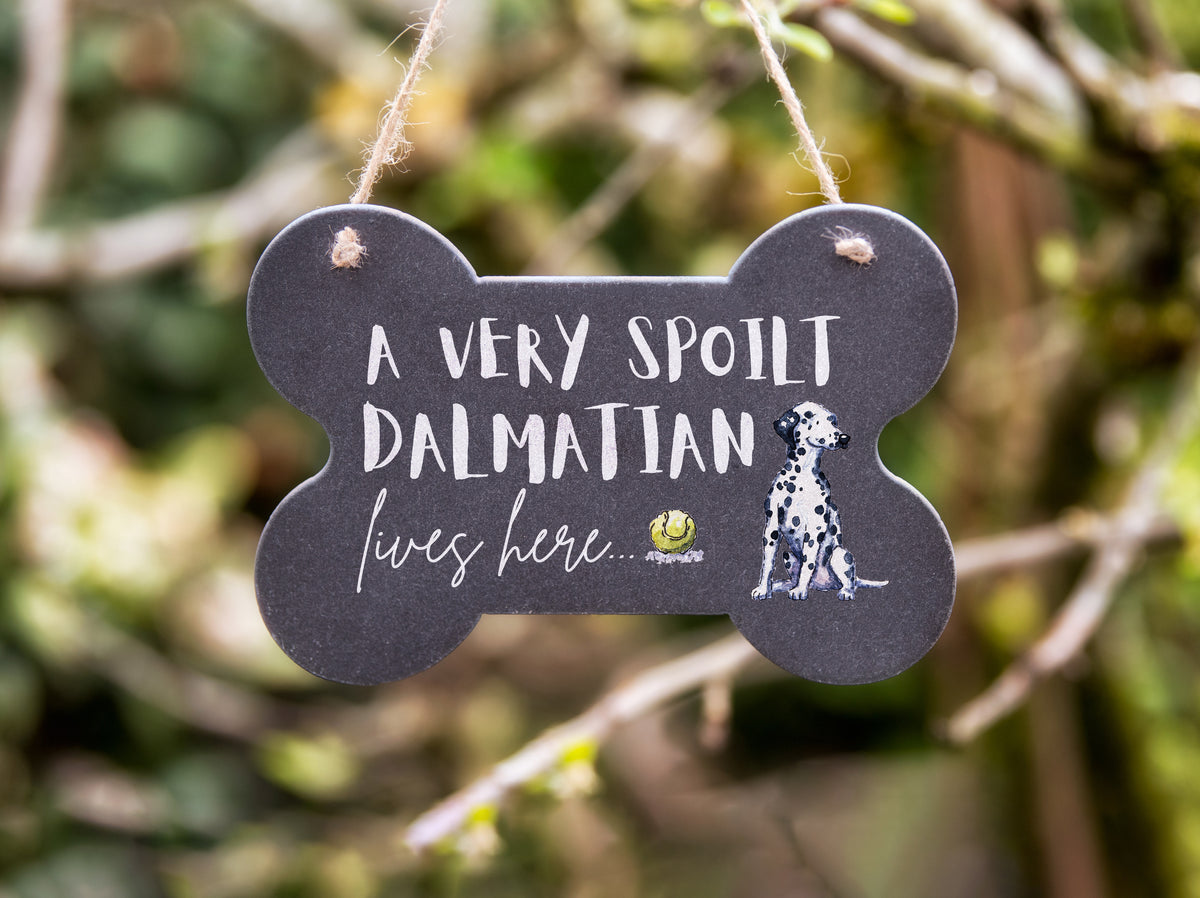Spoilt Dalmatian Bone Slate Sign – Villager Jim's Shop