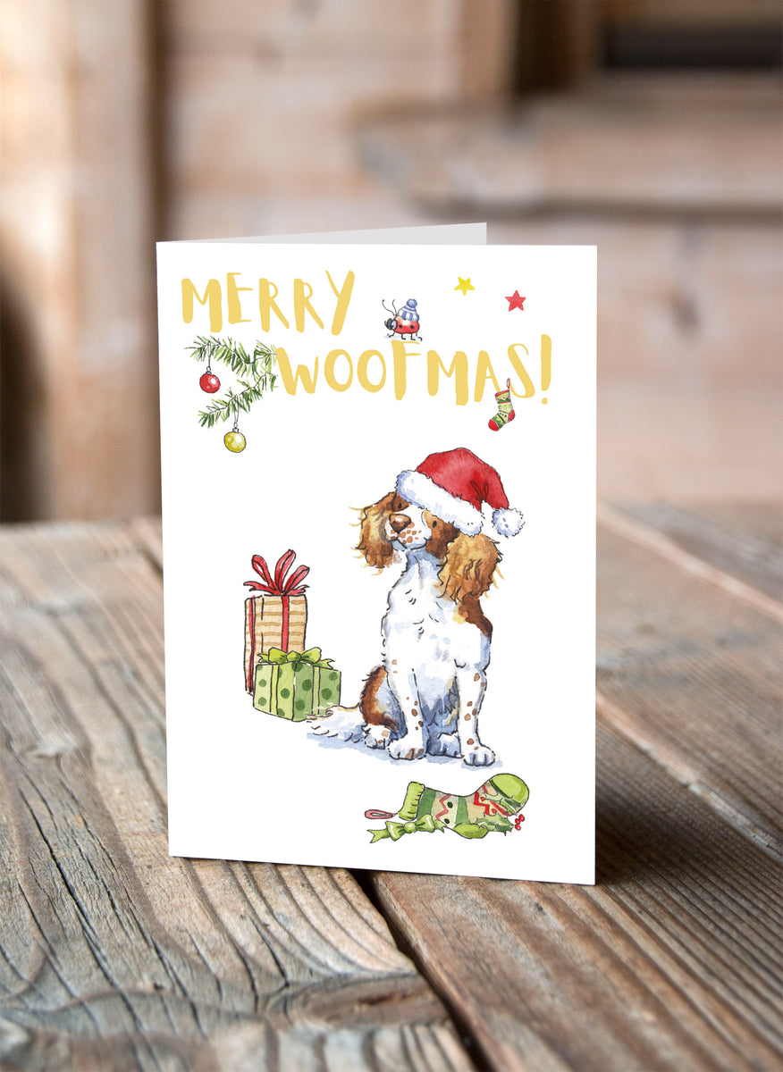 Springer Spaniel Christmas Cards - Pack of 3 - CLEARANCE – Villager Jim ...