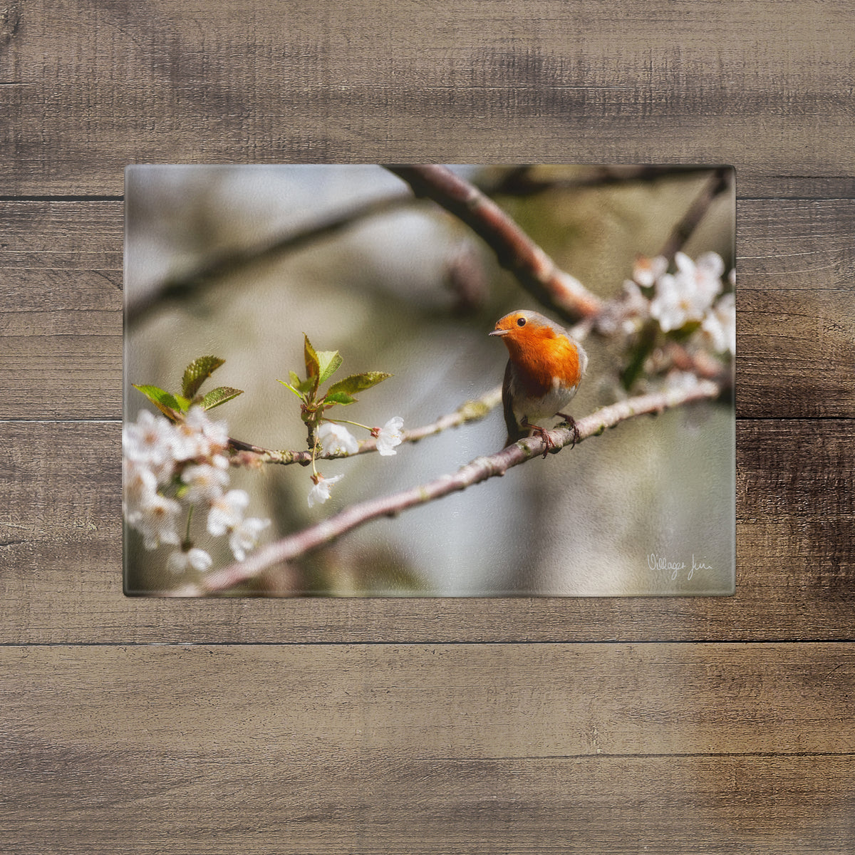 Springtime Bobbin - Glass Worktop Saver – Villager Jim's Shop