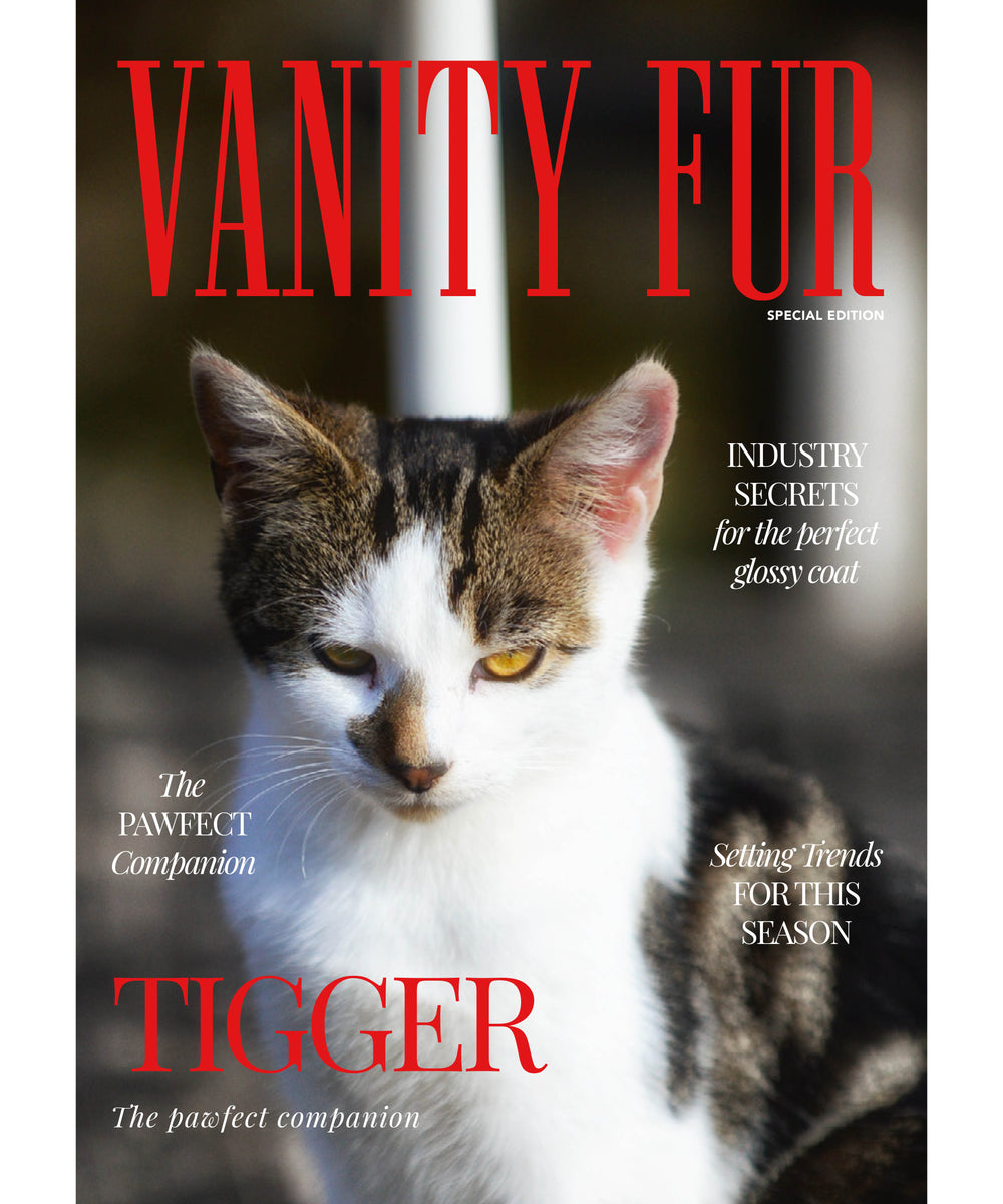 Vanity Fur (Cat) Pet Magazine Cover – Villager Jim's Shop