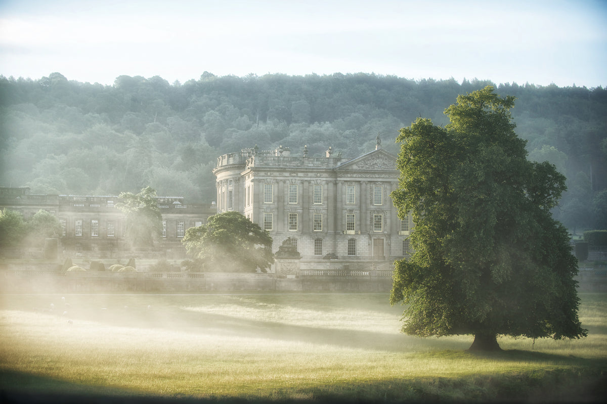 Chatsworth Tree Mist - Landscape Canvas – Villager Jim's Shop