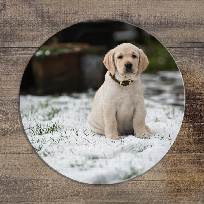 Me? Pure as Driven Snow - Circular Glass Worktop Saver – Villager Jim's ...