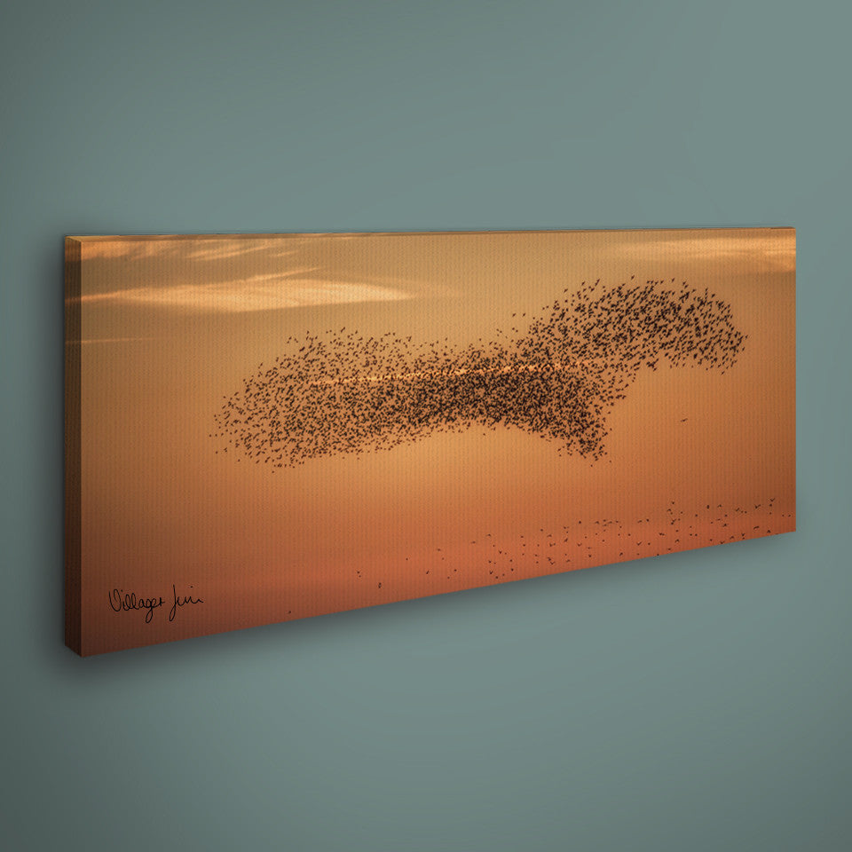 PANORAMIC - CLARISSA STARLING BIRD - 1.2m x 50cm – Villager Jim's Shop