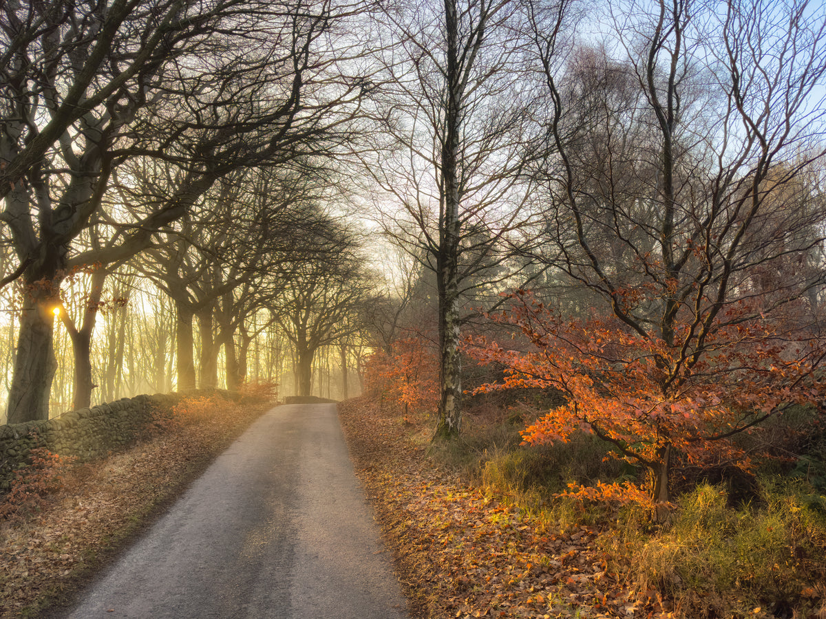 Dawn On A Country Lane - Print – Villager Jim's Shop