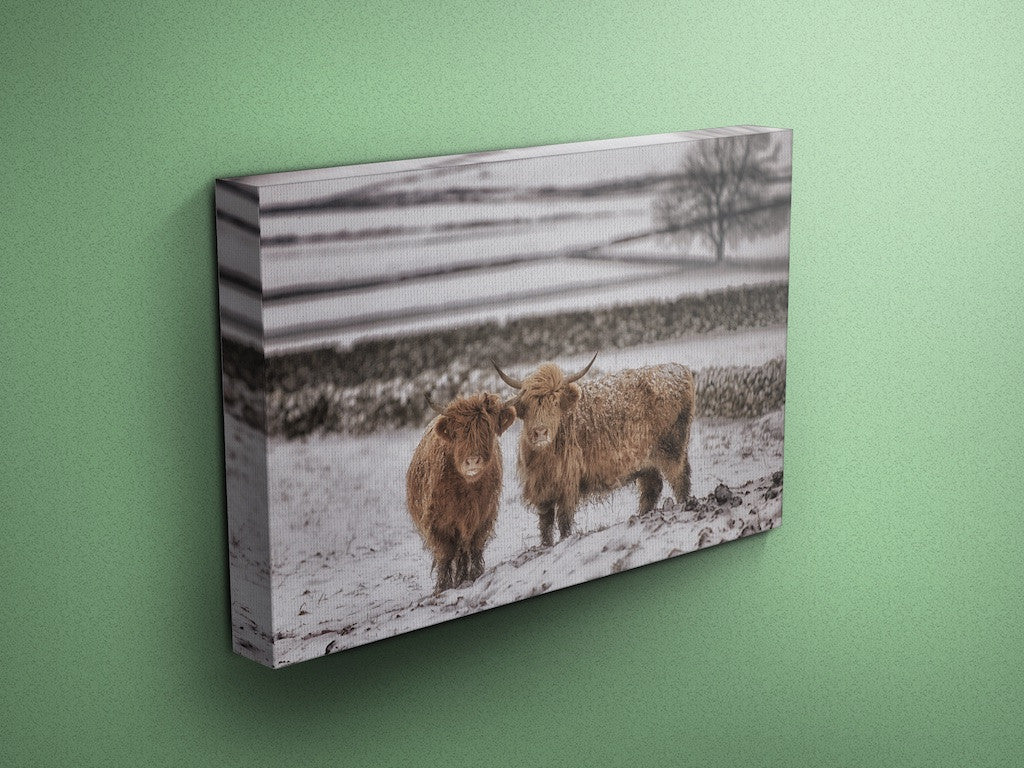 Gingerbread & Icing - Cow Canvas – Villager Jim's Shop