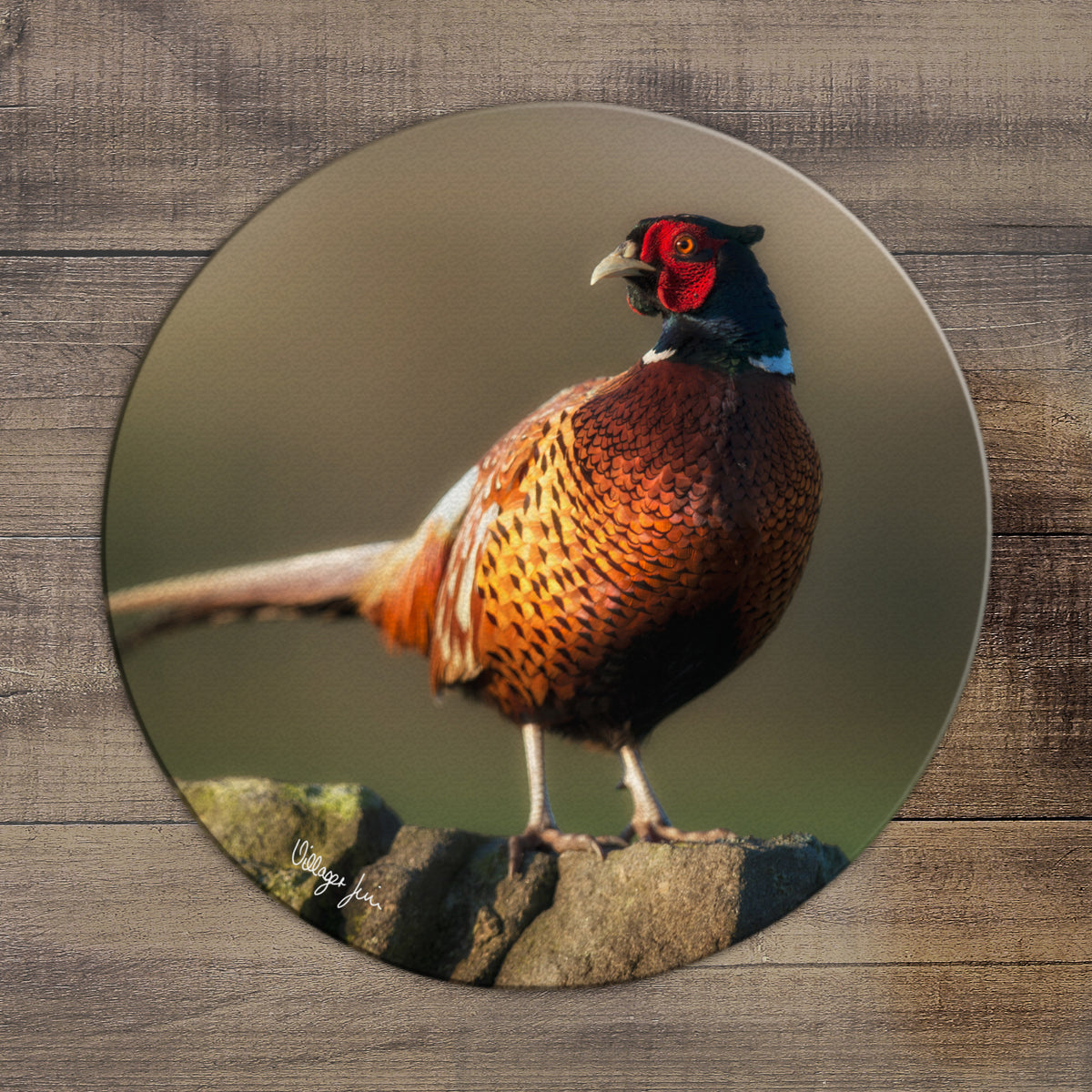 Golden Pheasant - Circular Glass Worktop Saver – Villager Jim's Shop