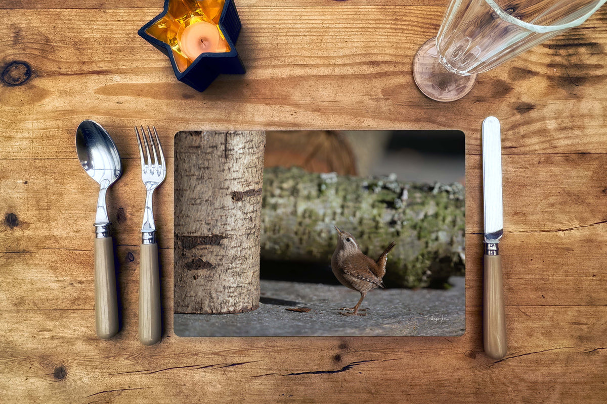 Jenny and The Huge Tree Wildlife Placemat – Villager Jim's Shop