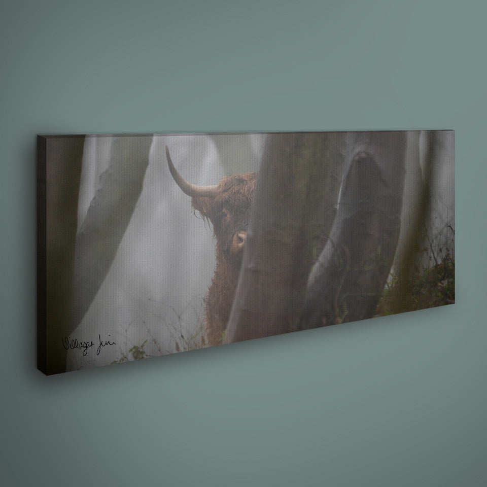 PANORAMIC - MISTIC MEG - 1.2m x 50cm – Villager Jim's Shop