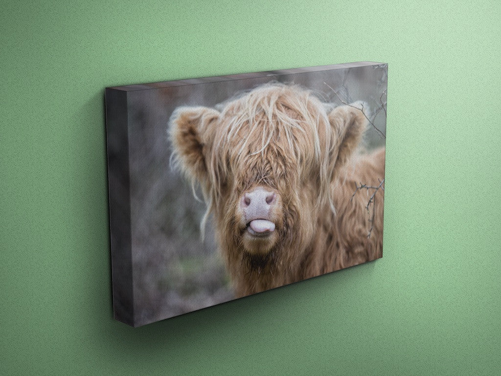 Raspberry Cow - Cow Canvas – Villager Jim's Shop