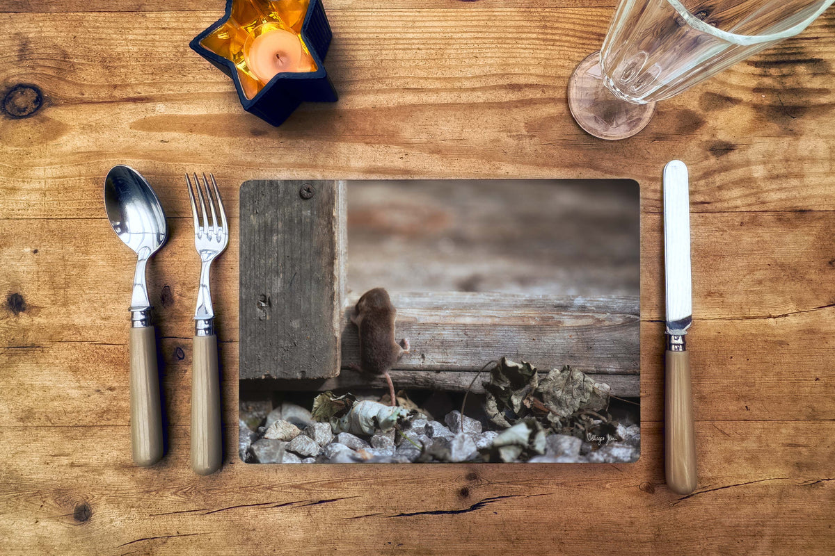 Samantha Struggle Wildlife Placemat – Villager Jim's Shop