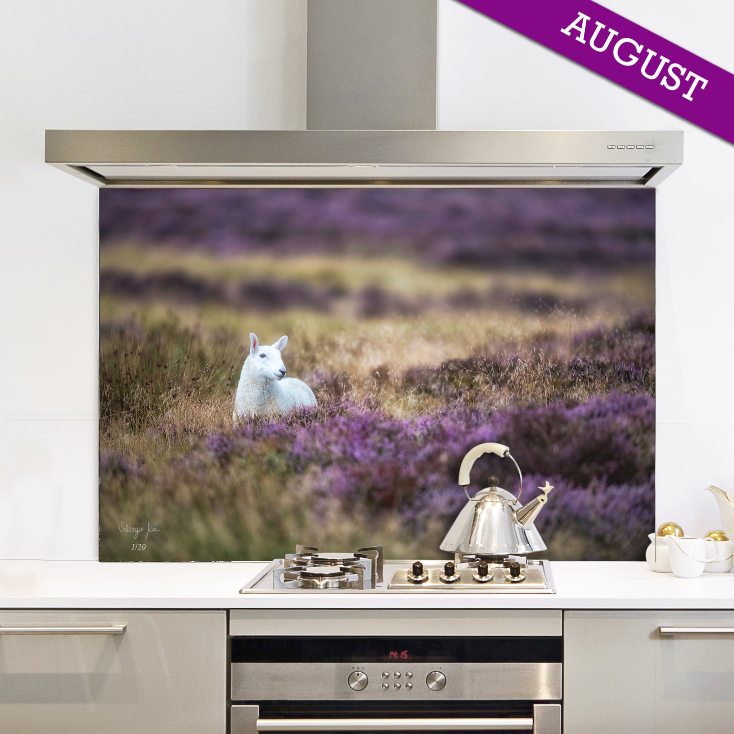 The Sheep And The Purple Heather - Limited Edition Splashback (Aug 22 ...